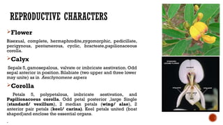 subfamily papilionaceae By Huma Jabeen GCUL | PPTX