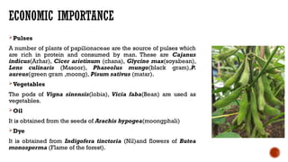 subfamily papilionaceae By Huma Jabeen GCUL | PPTX