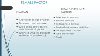 Subfertility | PPTX