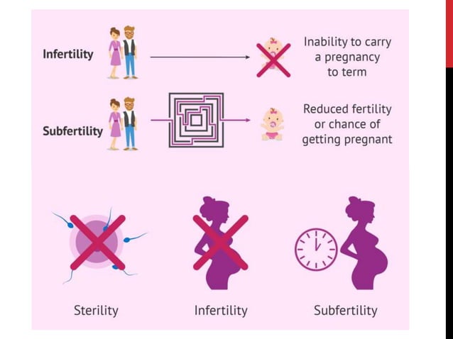 Subfertility/infertility | PPT
