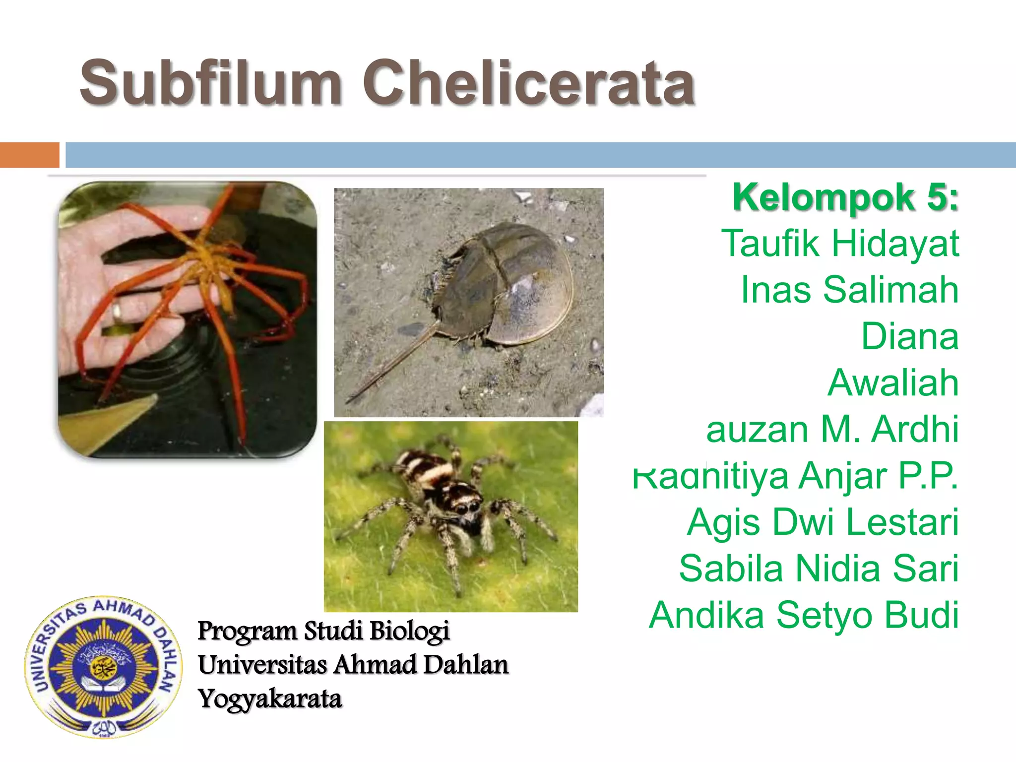 Subfilum chelicerata | PPT