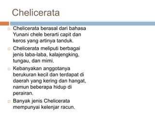Subfilum chelicerata | PPTX