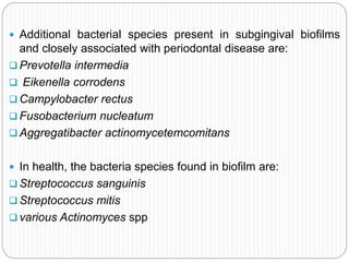 Subgingival biofilm as etiological factor of periodontal disease | PPTX