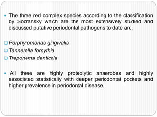 Subgingival biofilm as etiological factor of periodontal disease | PPT