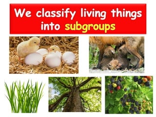 Subgroups | PPT
