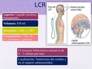 Meninges cerebroespinales y sistema ventricular | PPTX
