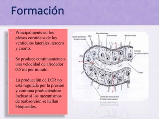 Meninges cerebroespinales y sistema ventricular | PPTX