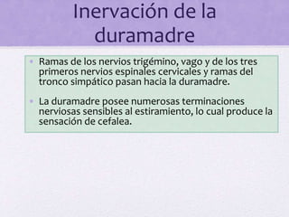 Meninges cerebroespinales y sistema ventricular | PPTX