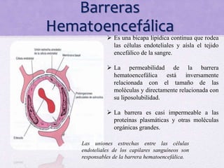 Meninges cerebroespinales y sistema ventricular | PPTX