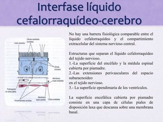 Meninges cerebroespinales y sistema ventricular | PPTX