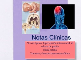 Meninges cerebroespinales y sistema ventricular | PPTX