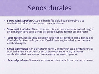 Meninges cerebroespinales y sistema ventricular | PPTX