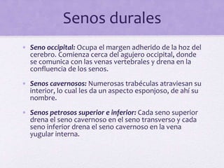 Meninges cerebroespinales y sistema ventricular | PPTX