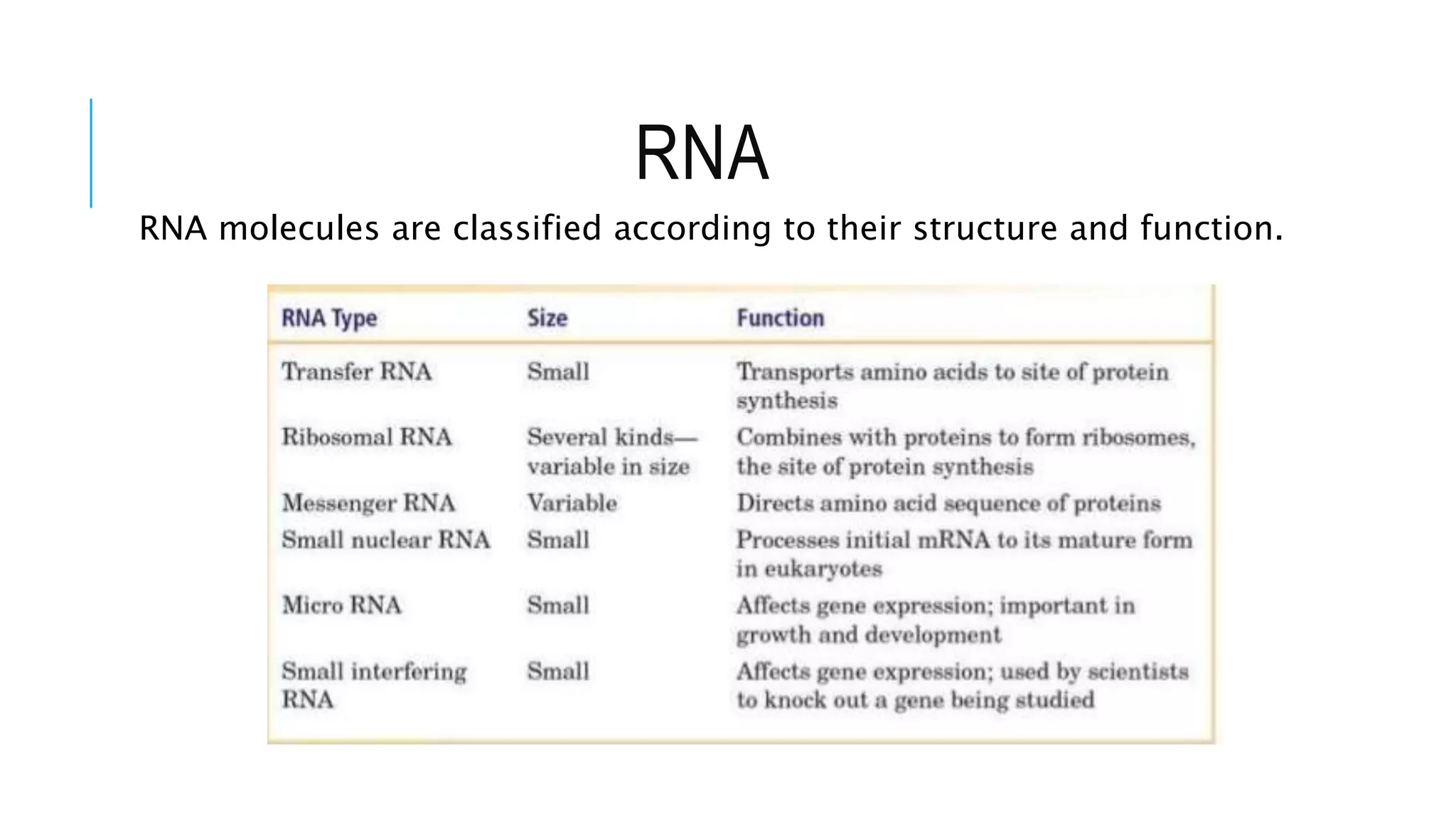 DNA and RNA types and functions | PPTX | Biological Sciences | Science