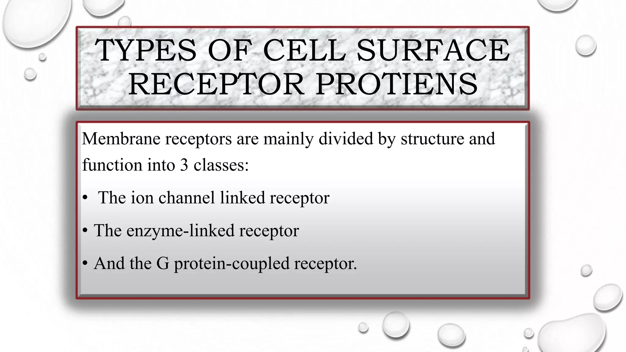 Proteins receptors (Identification and Characterization) | PPTX