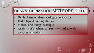 Proteins receptors (Identification and Characterization) | PPTX