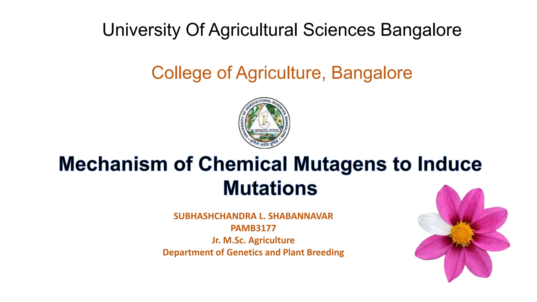 Mechanism of chemical mutagens to induce mutation | PPTX