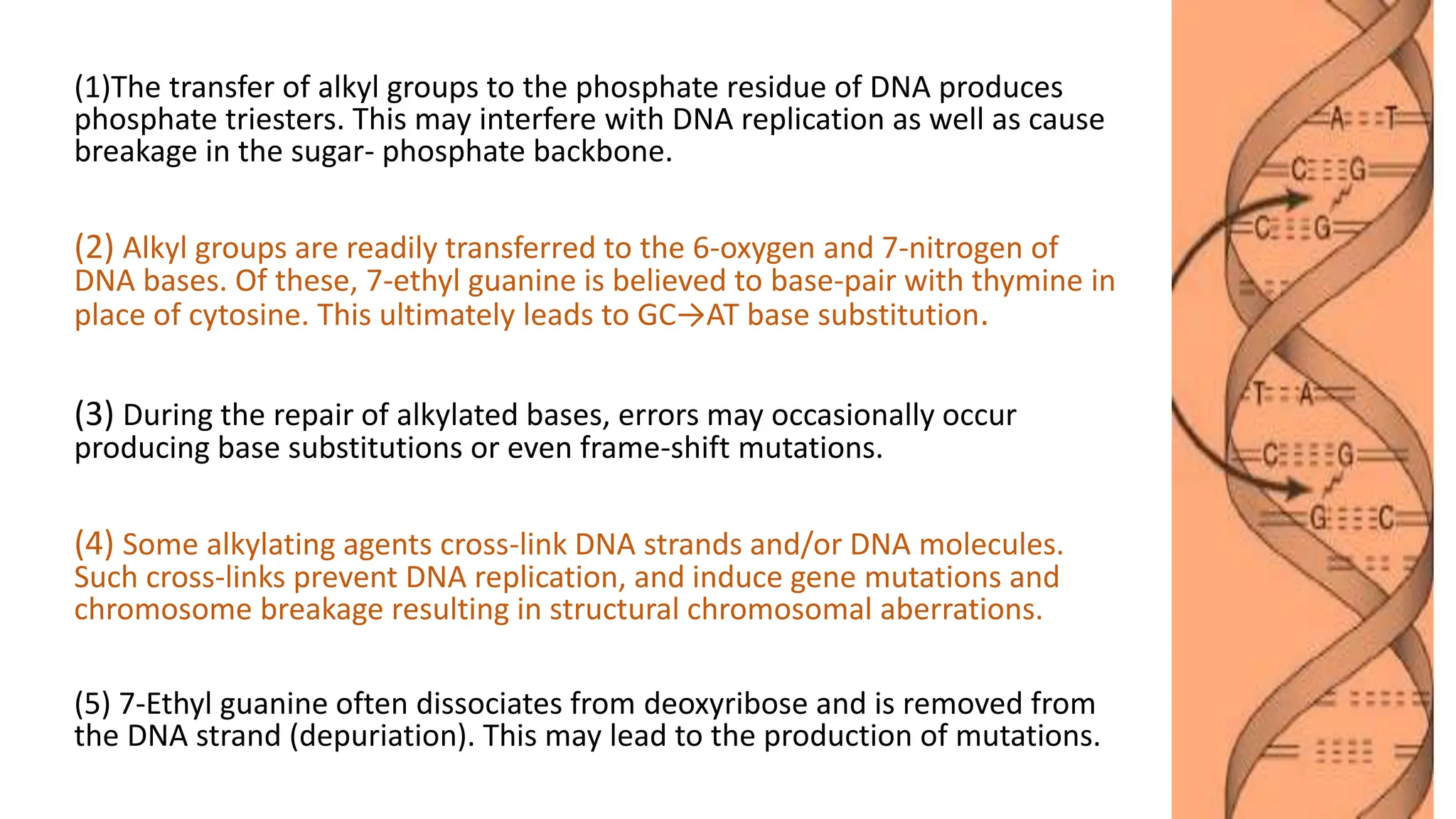 Mechanism of chemical mutagens to induce mutation | PPTX