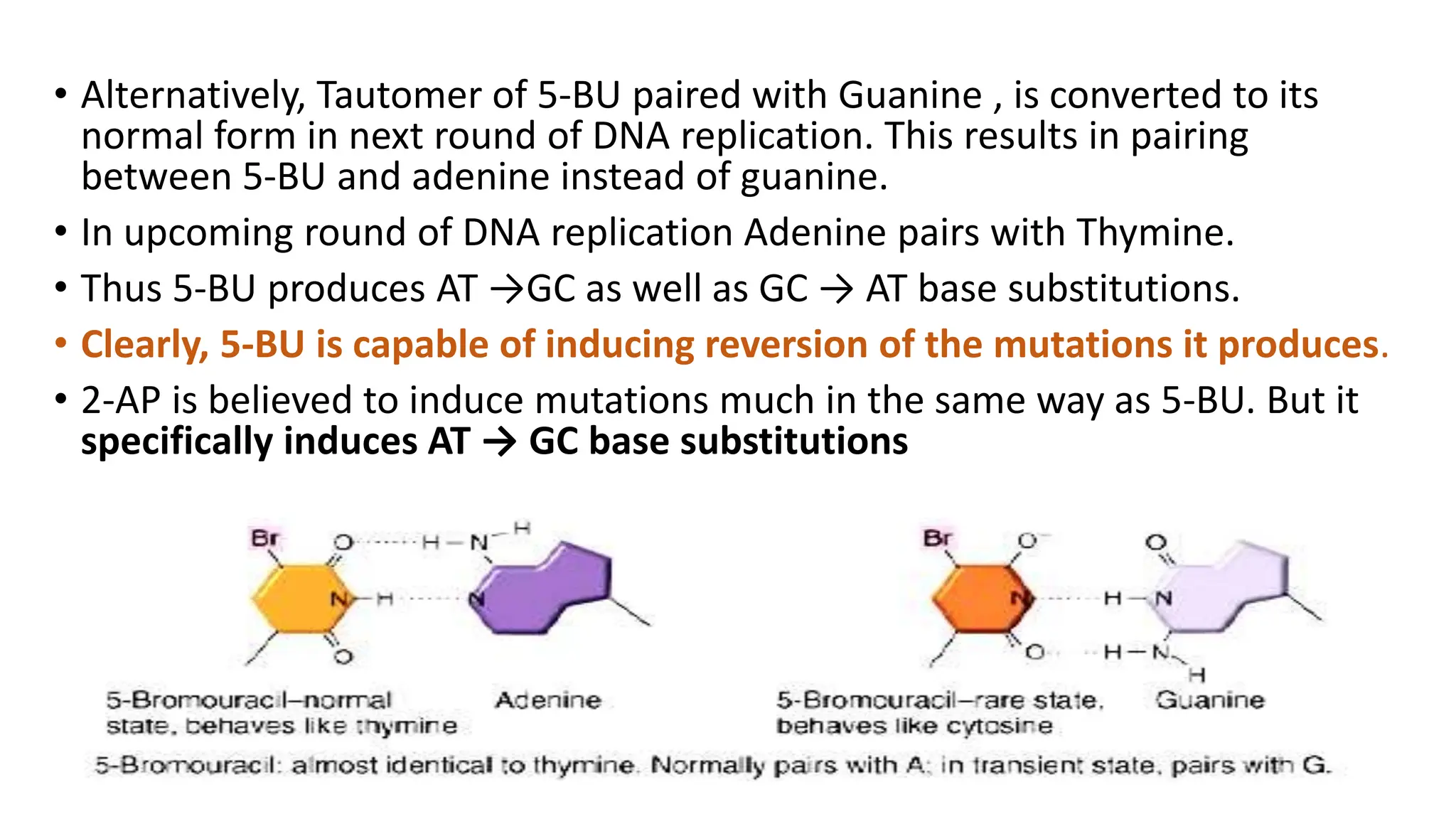 Mechanism of chemical mutagens to induce mutation | PPTX
