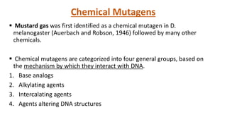 Mechanism of chemical mutagens to induce mutation | PPT