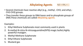 Mechanism of chemical mutagens to induce mutation | PPT