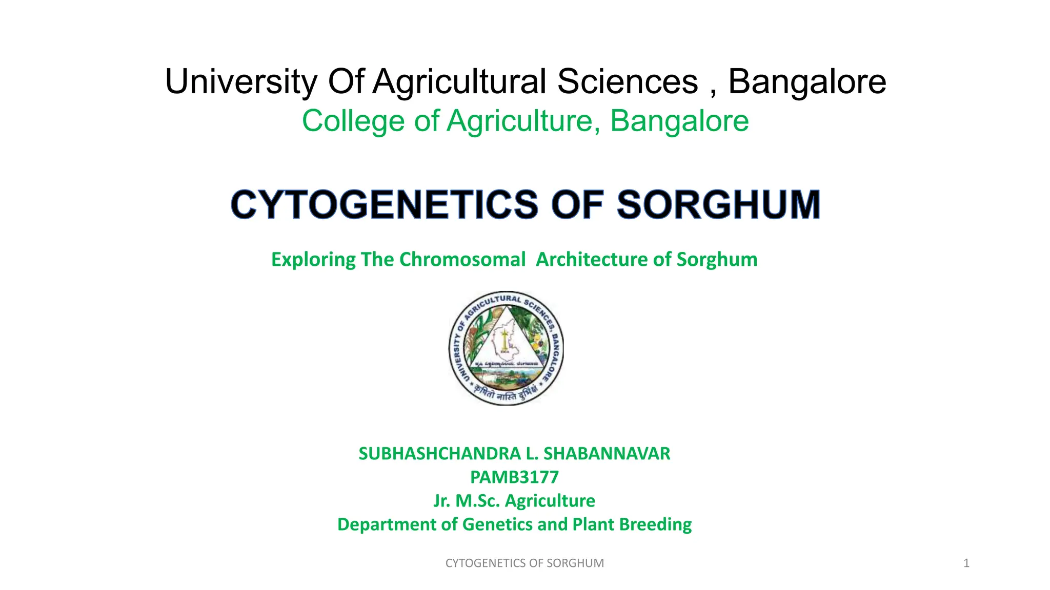 CYTOGENETICS OF SORGHUM- crop botany and details of individual chromosomes | PPTX