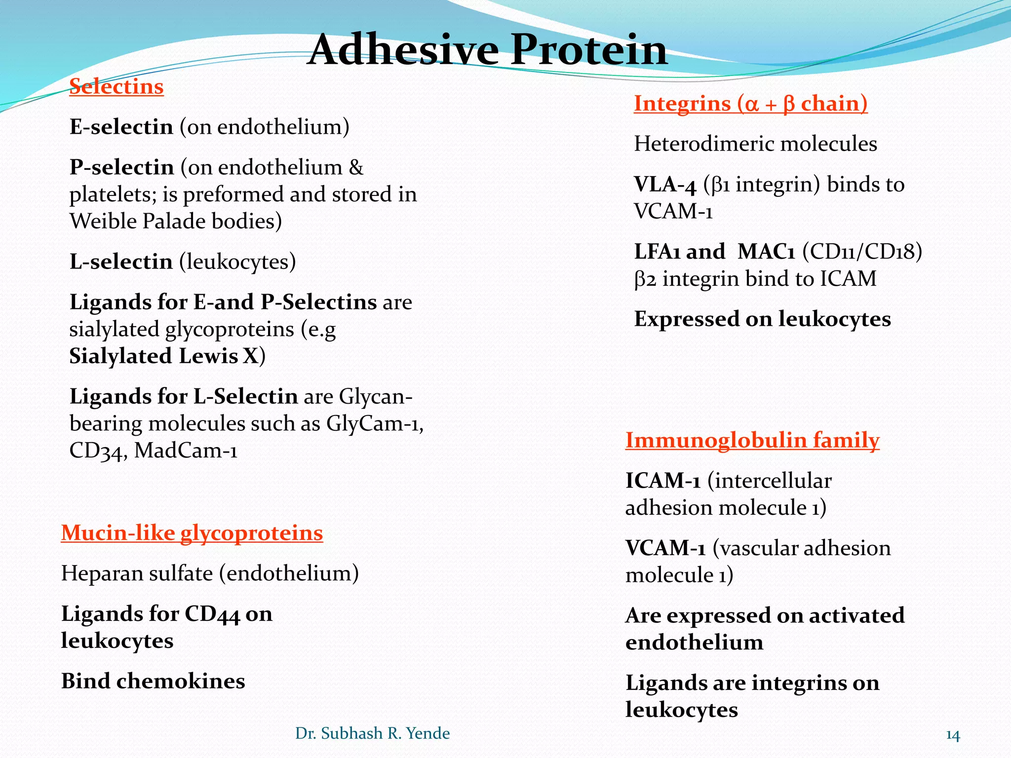 Mechanism of inflammation | PPT