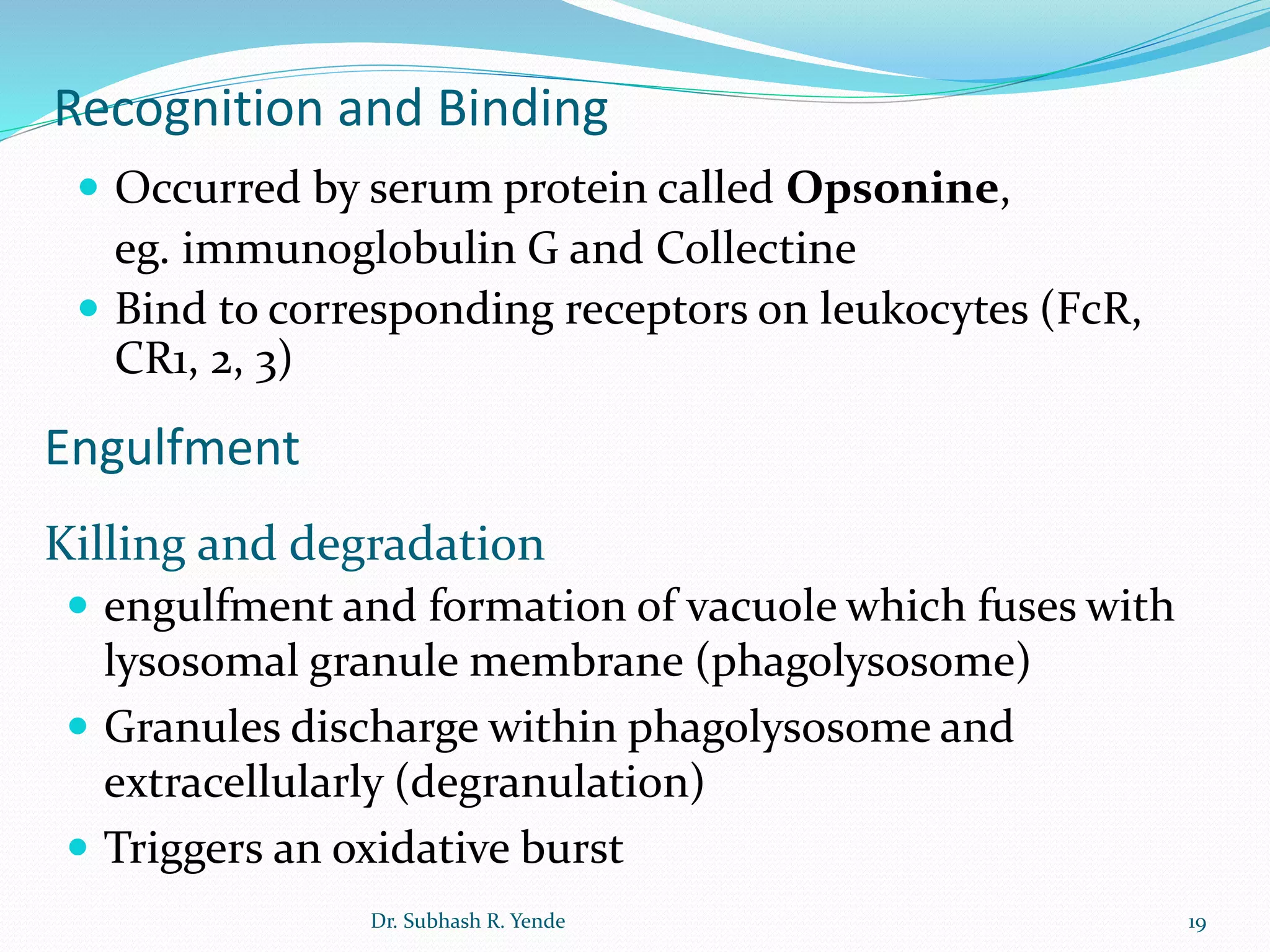 Mechanism of inflammation | PPT