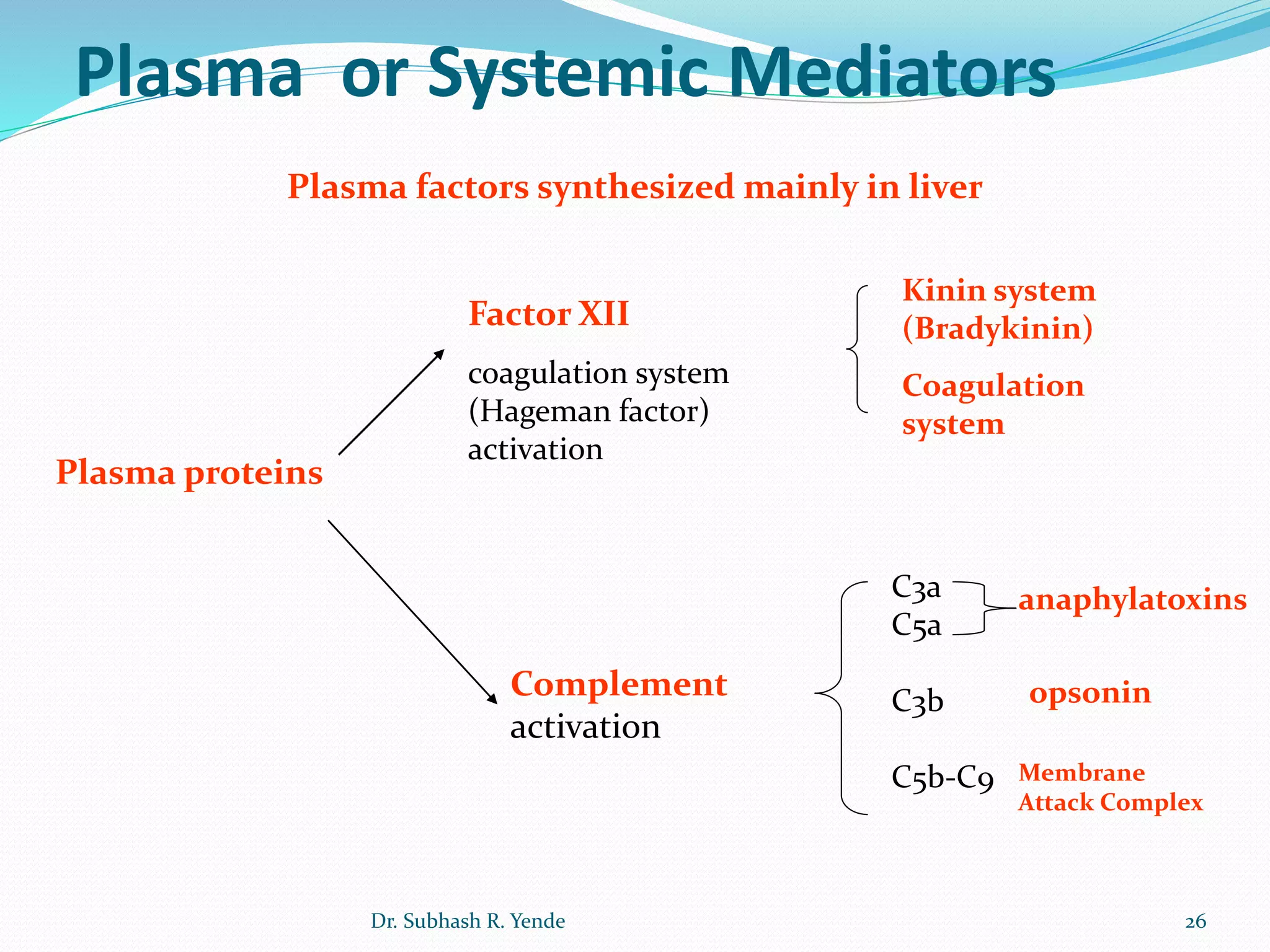 Mechanism of inflammation | PPT
