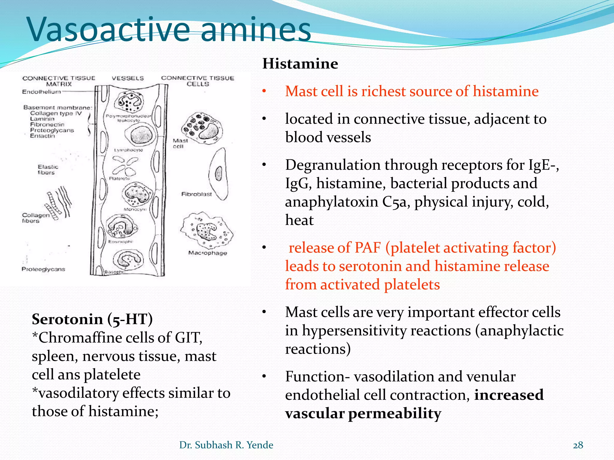 Mechanism of inflammation | PPT