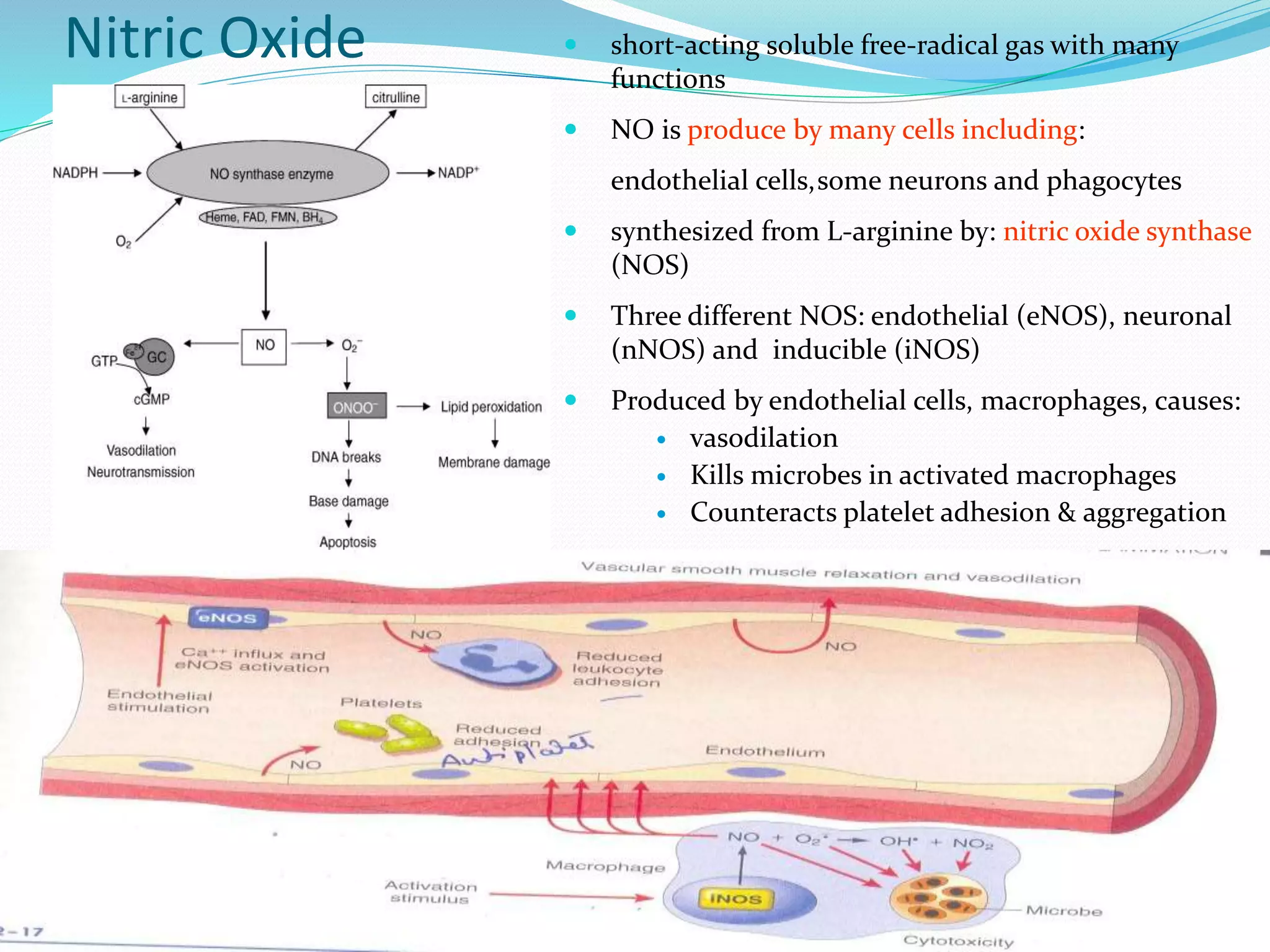 Mechanism of inflammation | PPT