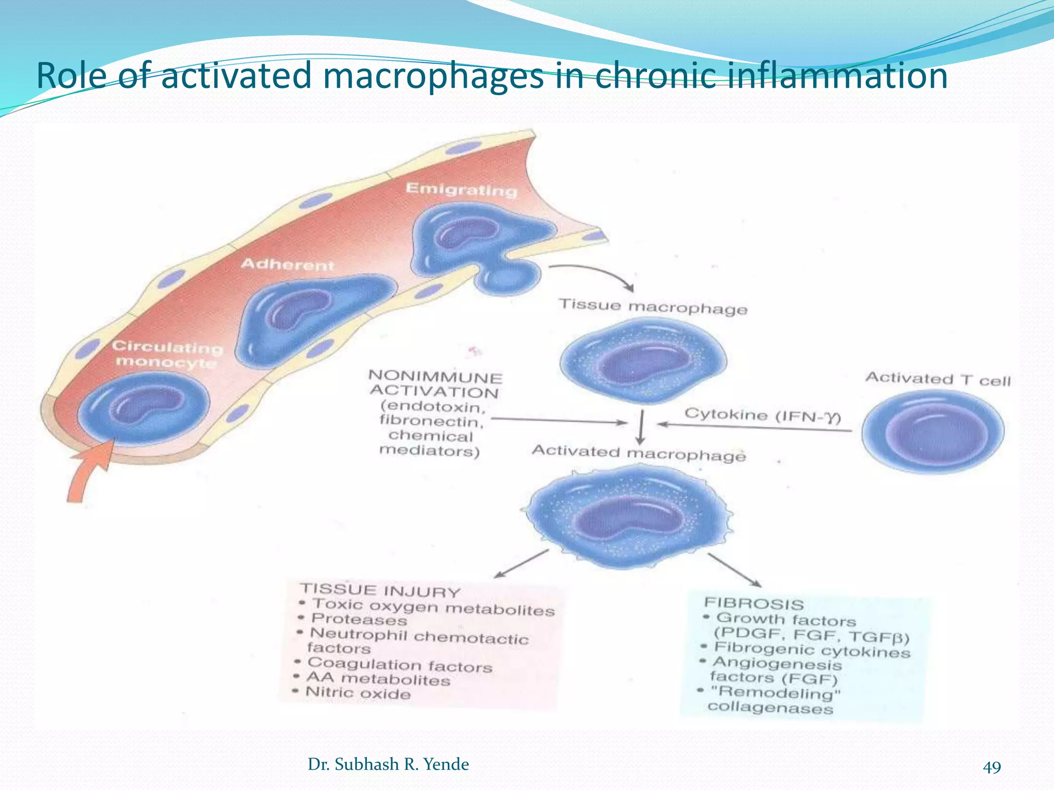 Mechanism of inflammation | PPT