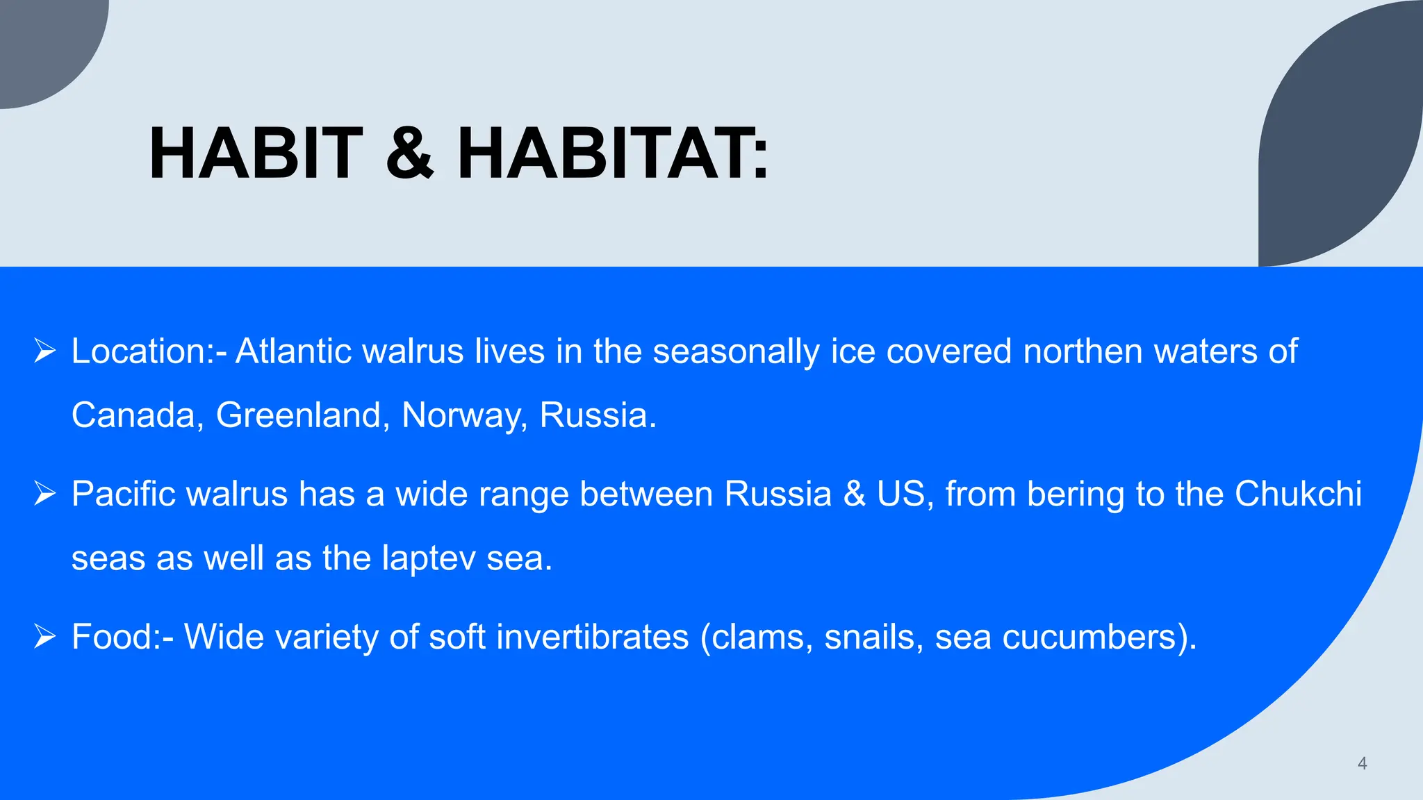 ppt_for_zoology_seminar_walrus&tree_frog | PPTX