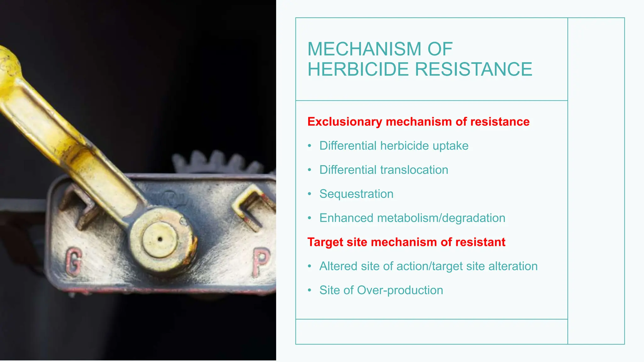 herbicide resistance in weeds.pptx