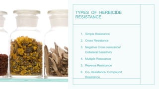 herbicide resistance in weeds.pptx