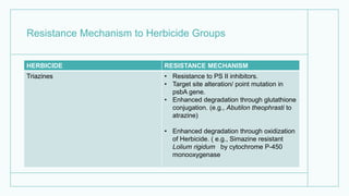herbicide resistance in weeds.pptx