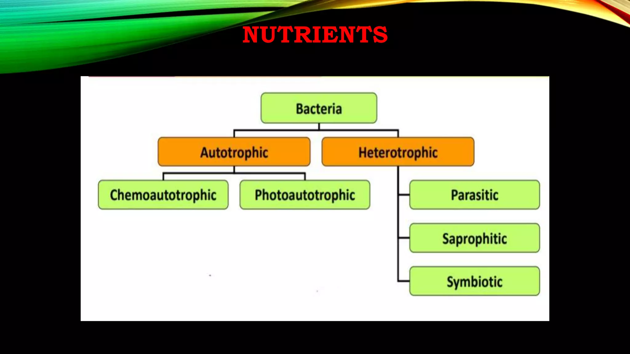 Nutrition & Bacterial Growth | PPT