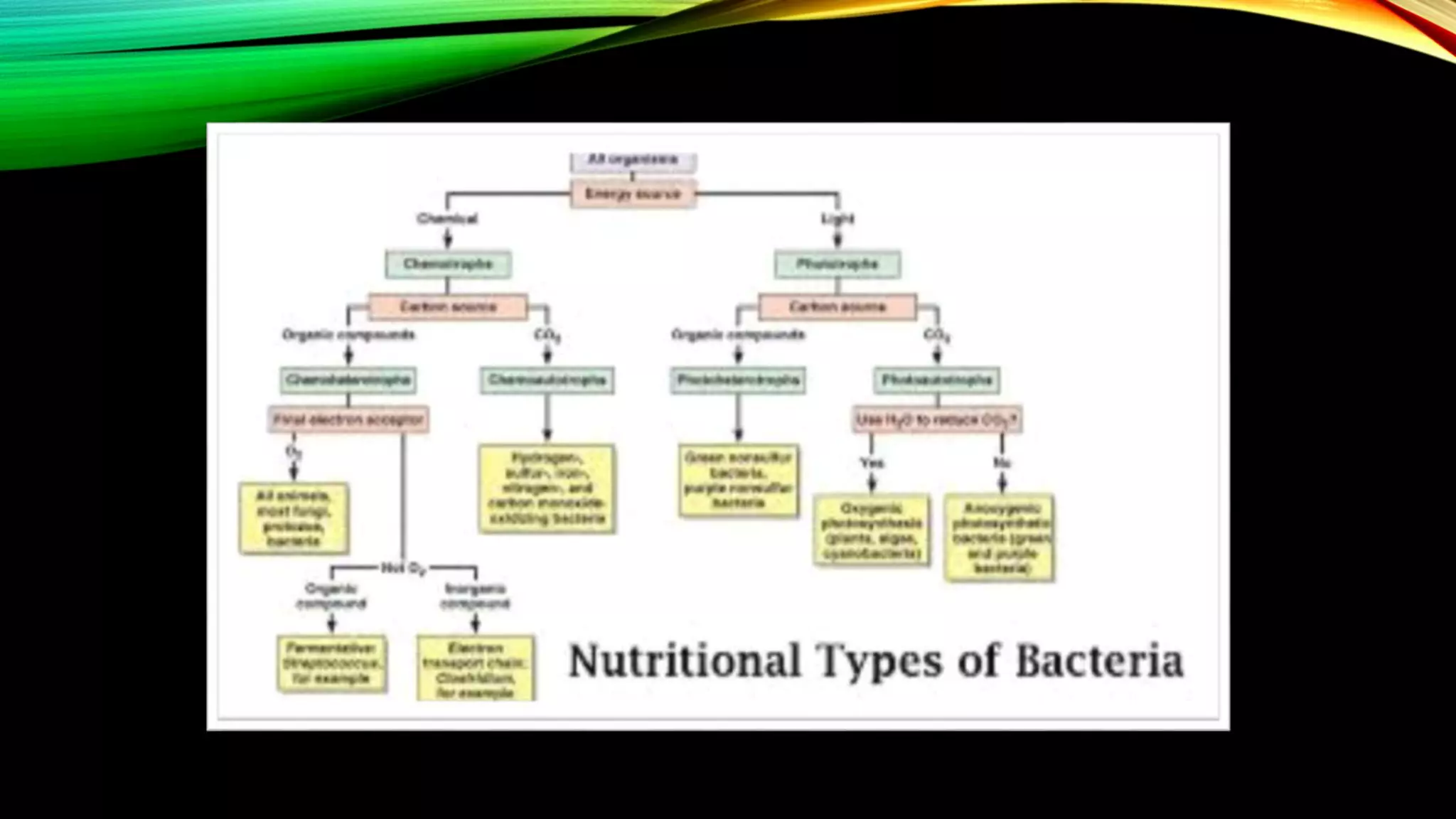 Nutrition & Bacterial Growth | PPT