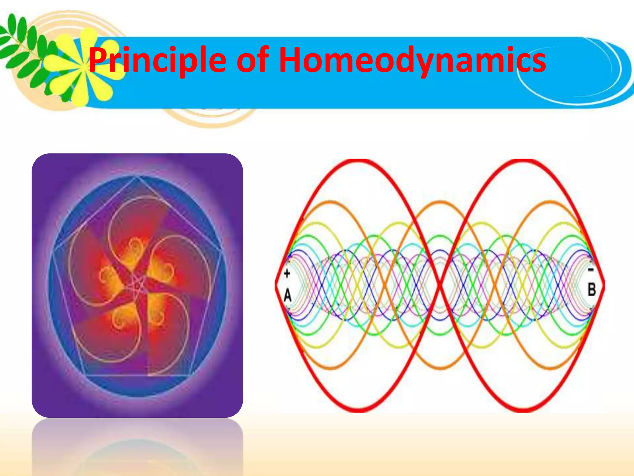 NURSING THEORY Martha Rogers - The Science of Unitary Human Beings | PPTX