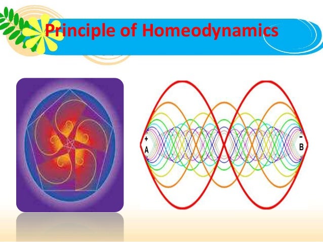 NURSING THEORY Martha Rogers - The Science of Unitary Human Beings