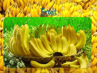 GENETIC DIVERSITY OF BANANA AND ITS BIOINFORMATIC APPROACH | PPTX