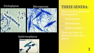 Biosafety related to Dermatophytes .pptx