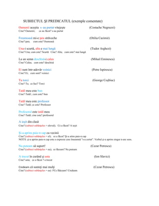 Subiectul si Predicatul | PDF