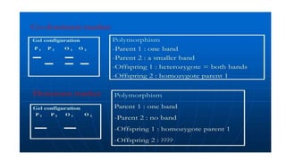 GERMPLASM.pptx | Genetics | Science
