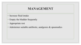 Subinvolution & UTI IN PUERPERIUM | PPTX
