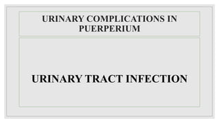 Subinvolution & UTI IN PUERPERIUM | PPTX