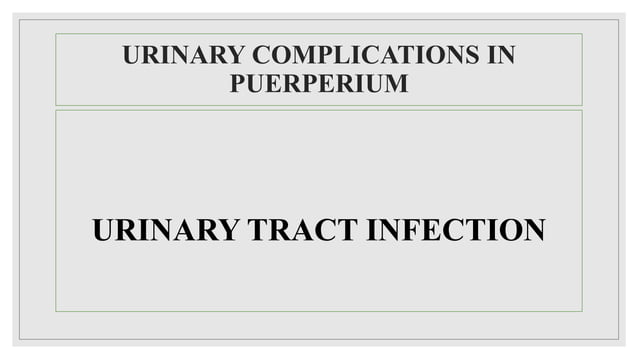 Subinvolution & UTI IN PUERPERIUM | PPTX | Pregnancy | Reproductive Health