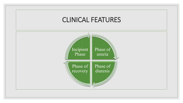 Subinvolution & UTI IN PUERPERIUM | PPT