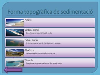 Agent geológic extern: El mar | PPSX