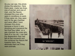 The Holocaust | PPTX | Death, Injury, or Military Conflict | Sensitive ...